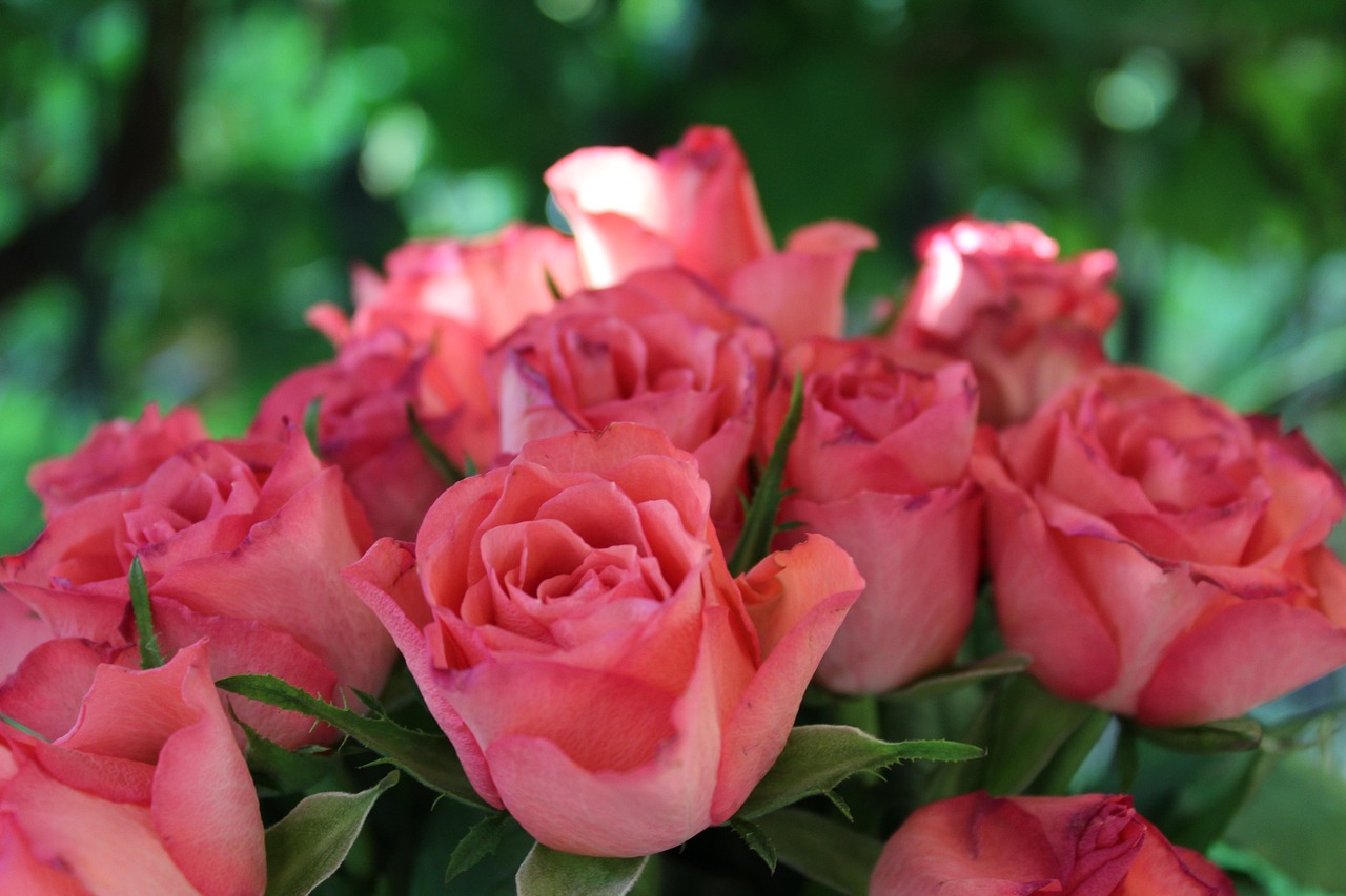 Bouquet Of Roses Pink Rose - Free photo on Pixabay - Pixabay