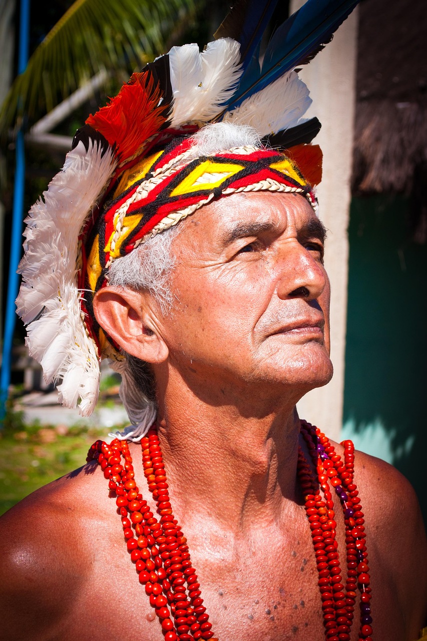 超过 1 张关于“Convivencia Indigena”和“幻想”的免费图片 - Pixabay