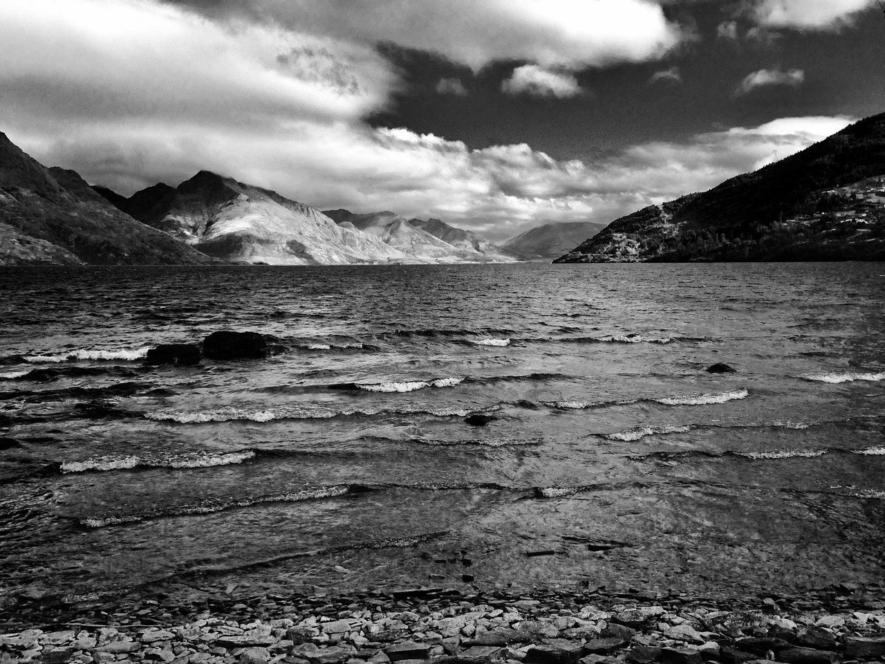 Nueva Zelanda Blanco Negro - Foto gratis en Pixabay - Pixabay