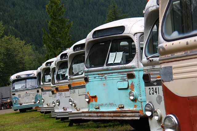 20,000+ Free Old Buses & Old Images - Pixabay