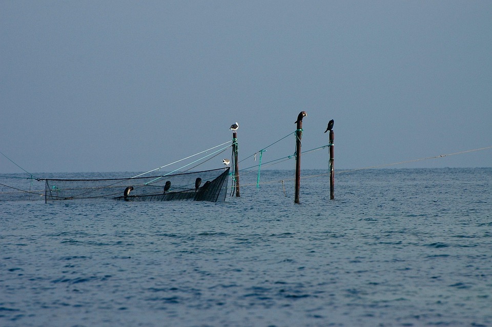 Ostsee Fischfang Netze · Kostenloses Foto auf Pixabay