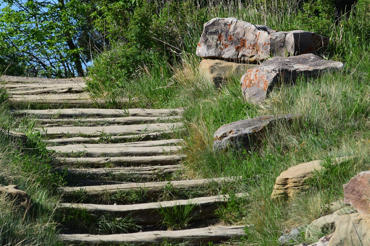 100+ Free Trail Stairs & Stairs Images - Pixabay