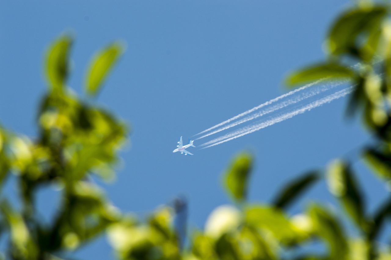 Flying Sky Blue - Free photo on Pixabay - Pixabay