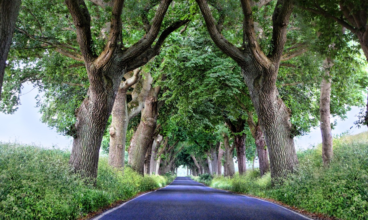 70,000+ Free Country Road & Road Images - Pixabay