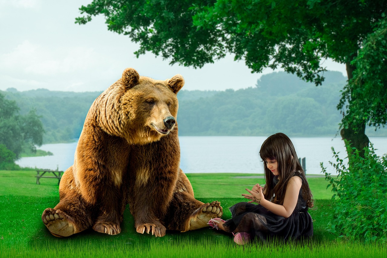100+ Free Bear Paw & Bear Images - Pixabay