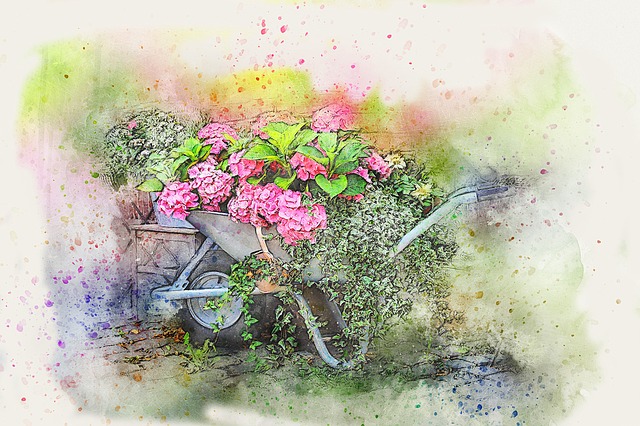 300+ Free Wheelbarrow & Nature Images - Pixabay