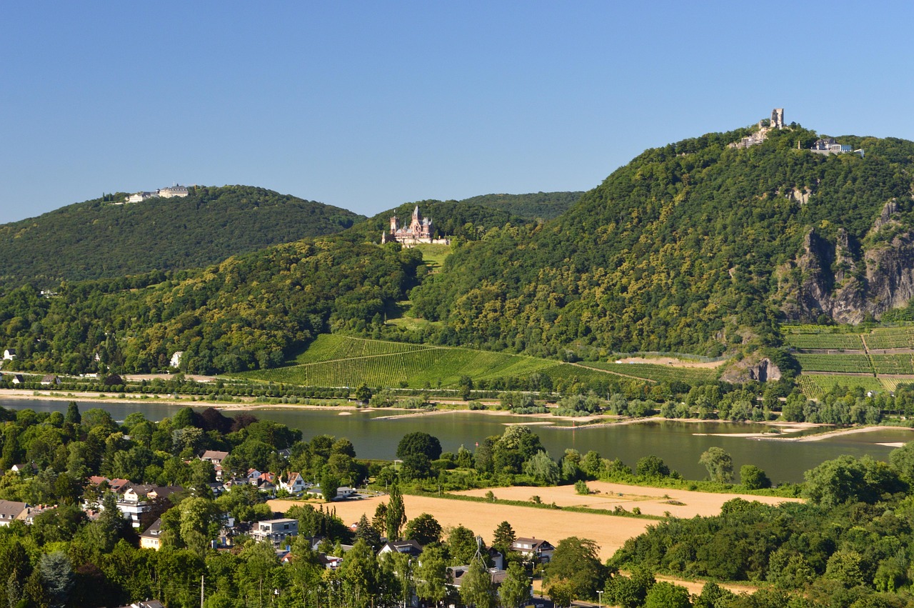 100.000+ kostenlose Stadt Bonn und Bonn-Bilder - Pixabay