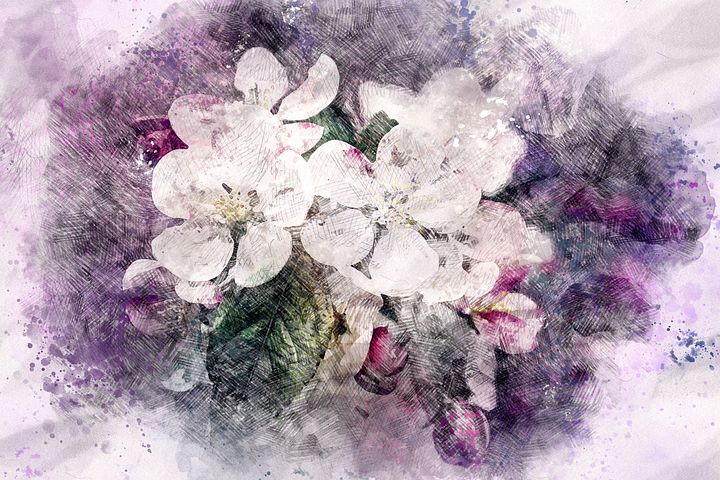 20+ Free Boho Chic & Bohemian Images - Pixabay