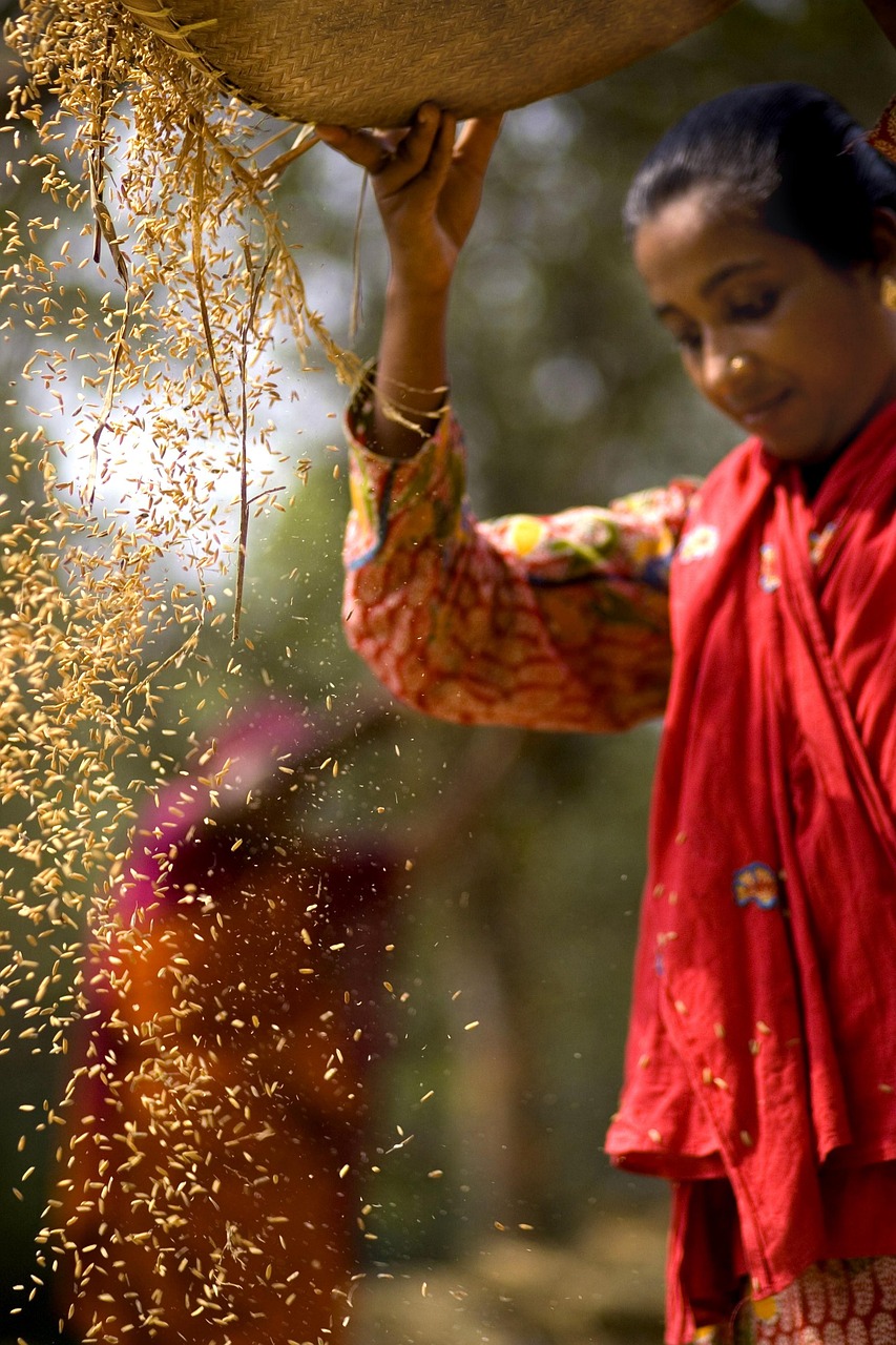 30,000+ Free Village Women & Women Photos - Pixabay