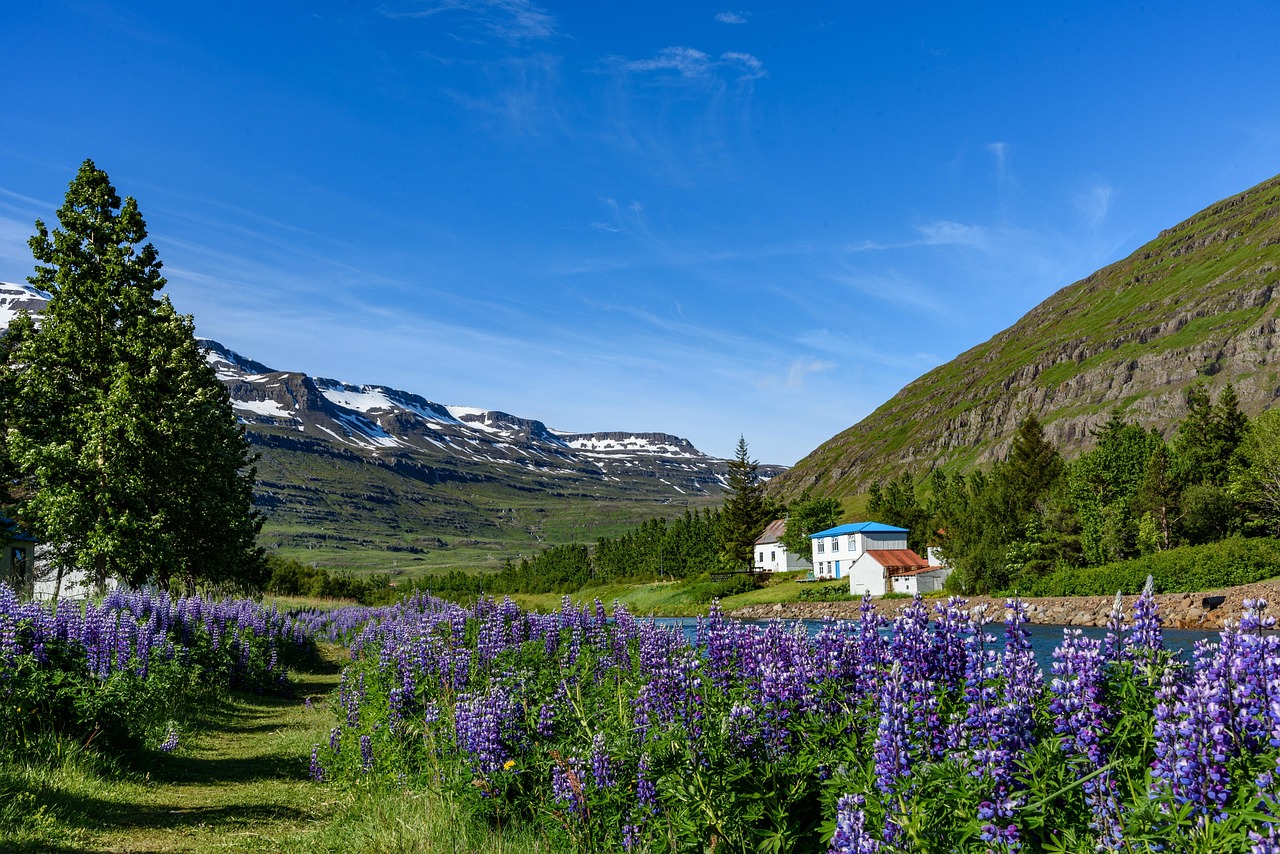 Iceland Landscape Seyðisfjörður - Free photo on Pixabay