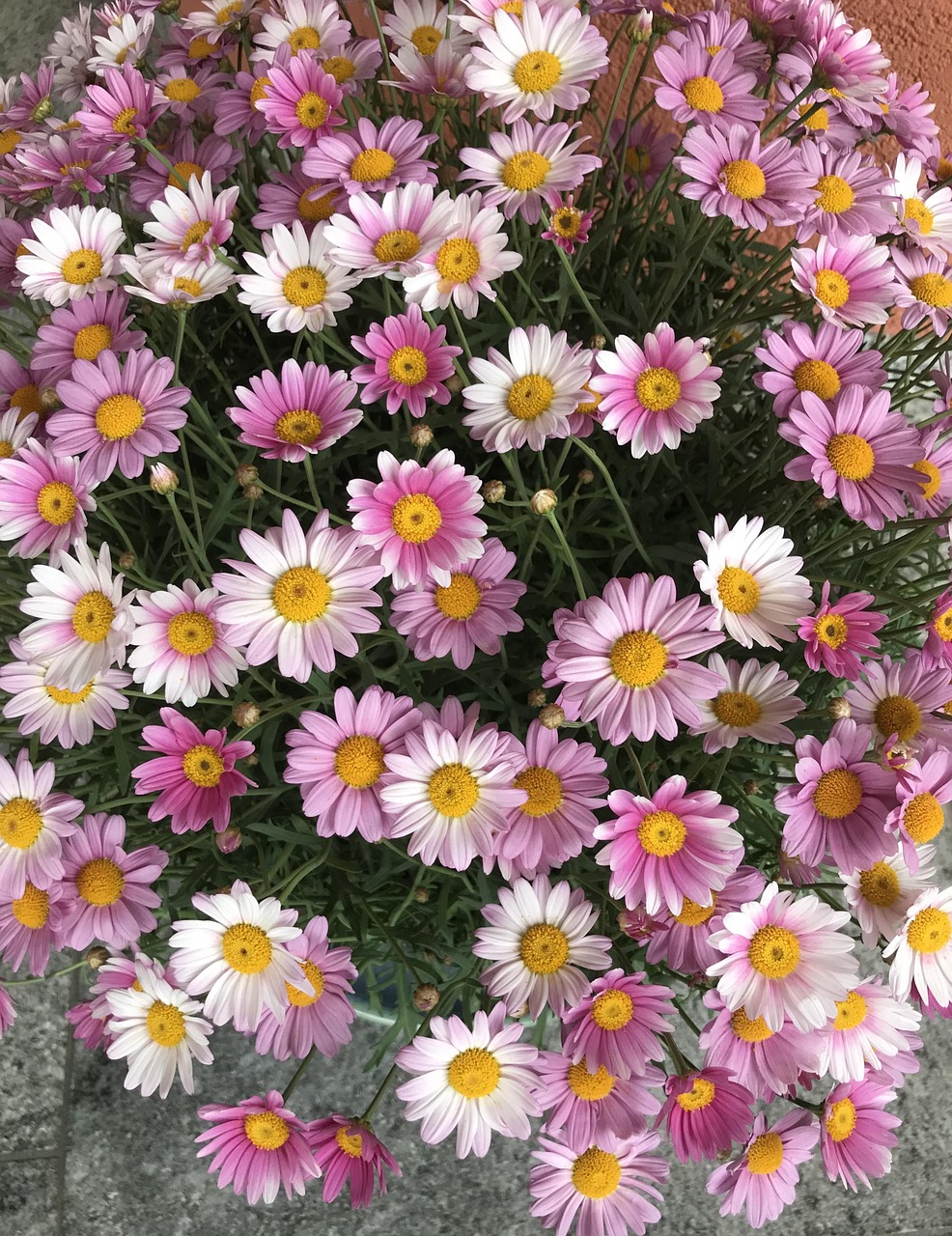 Bouquet De Fleurs Fleur Romantique - Photo gratuite sur Pixabay - Pixabay