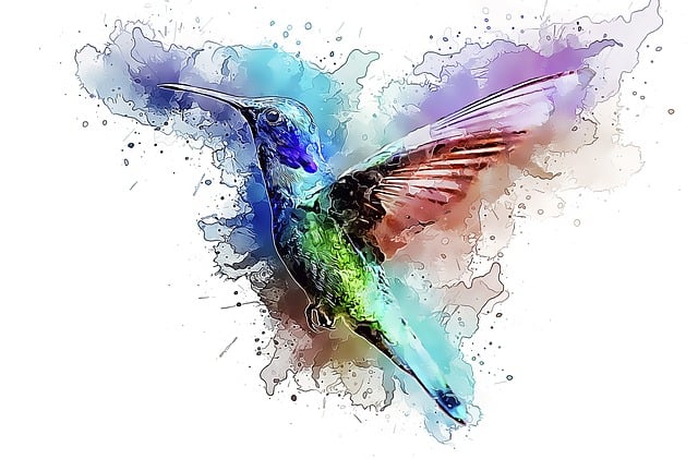 Explore 316+ Free Hummingbird Illustrations: Download Now - Pixabay
