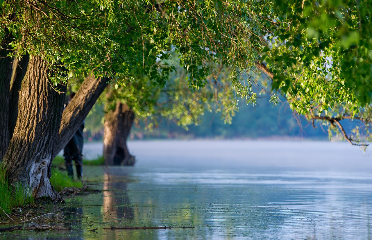 Agua Naturaleza El Color Verde - Foto gratis en Pixabay