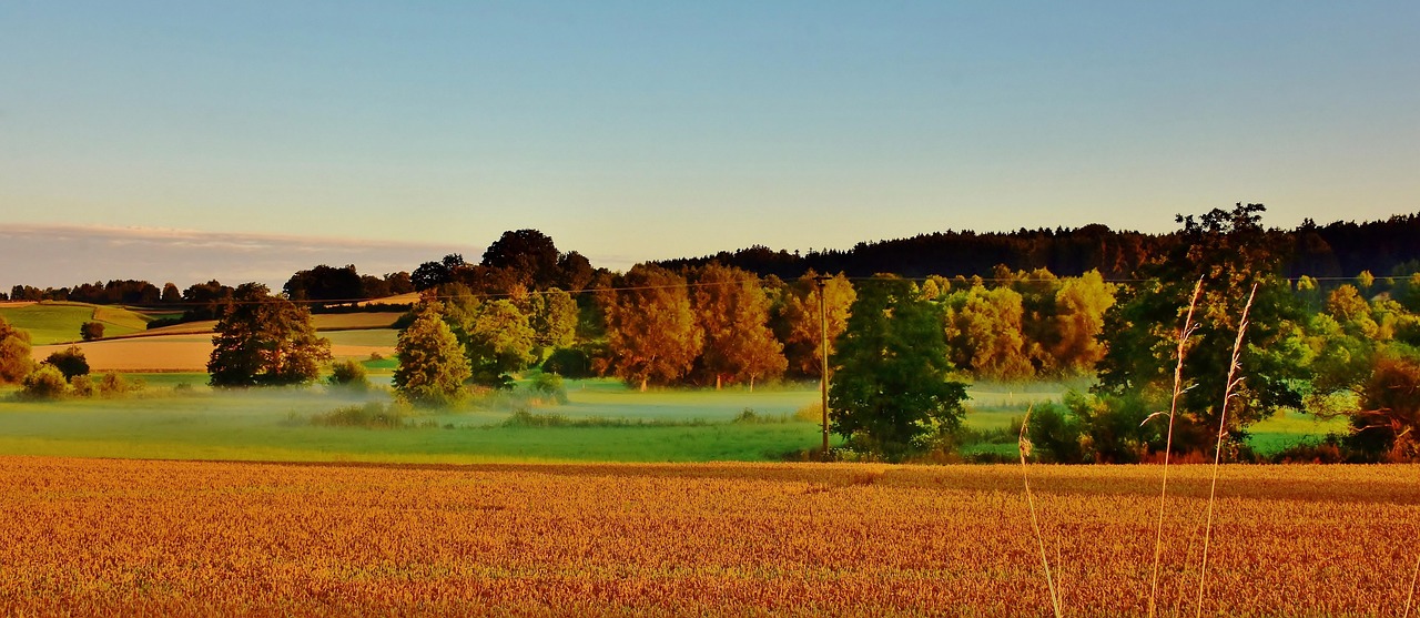 Paysage Le Matin De Bonne Heure - Photo gratuite sur Pixabay - Pixabay
