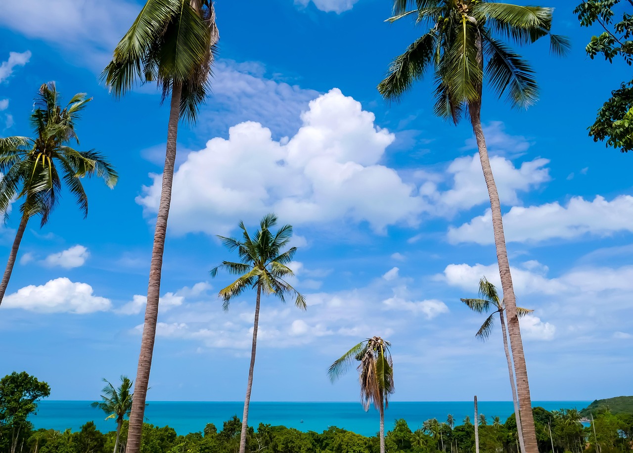 Koh Samui Pantai Laut - Foto gratis di Pixabay - Pixabay