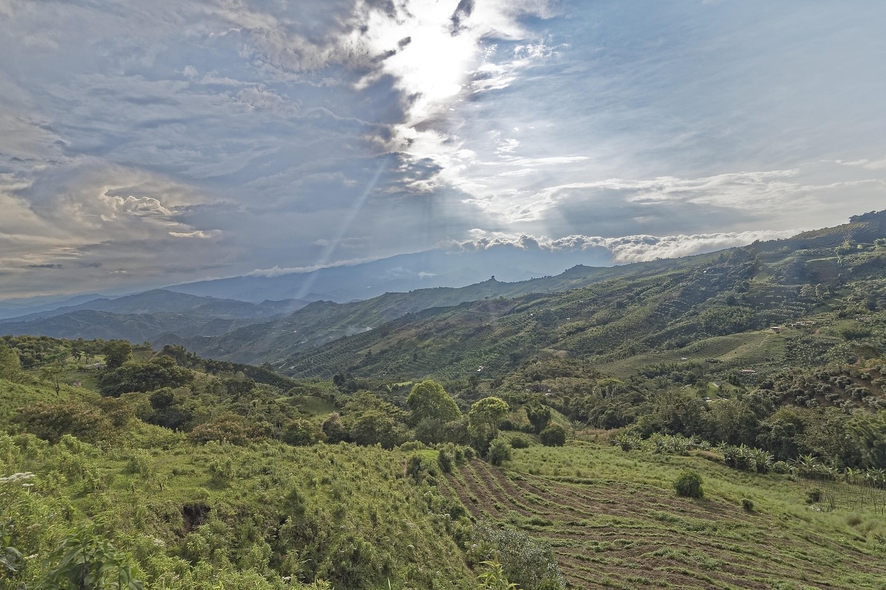 Más de 30 000 imágenes gratis de Colombia Animada y Colombia - Pixabay