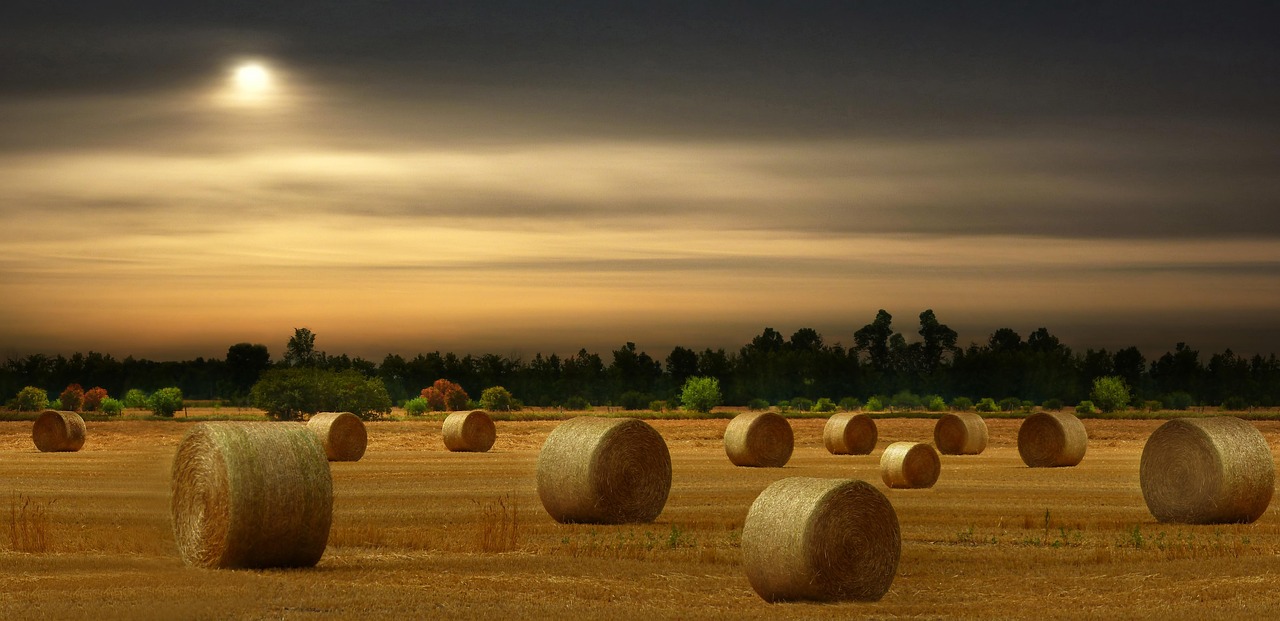 3,000+ Free Hay Bales & Hay Images - Pixabay