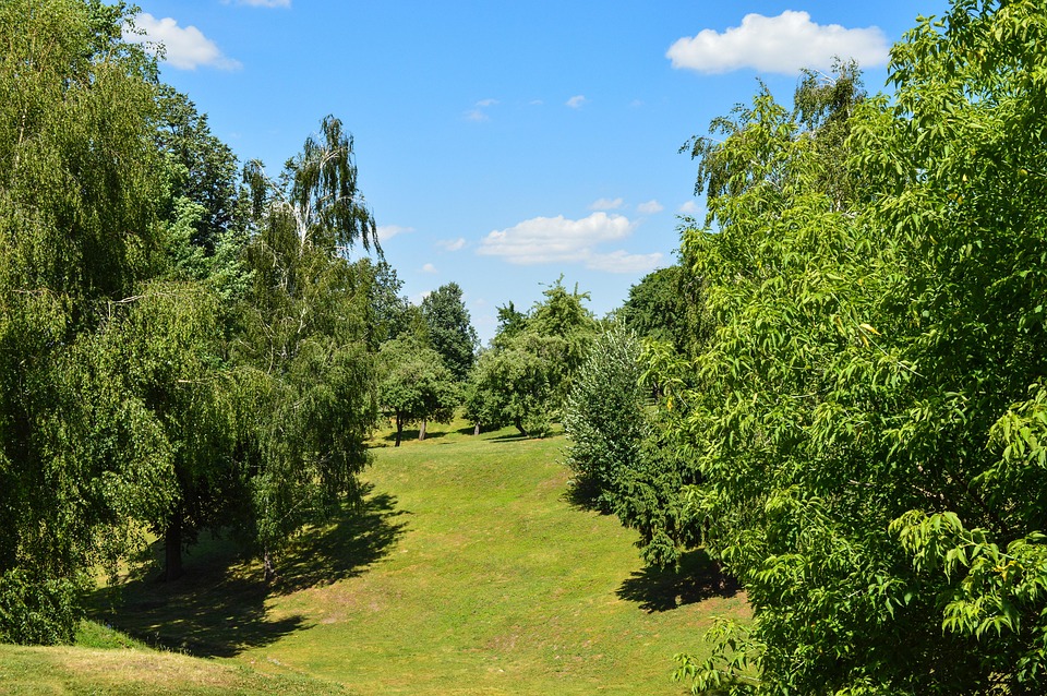 Nature Ravine Summer - Free photo on Pixabay