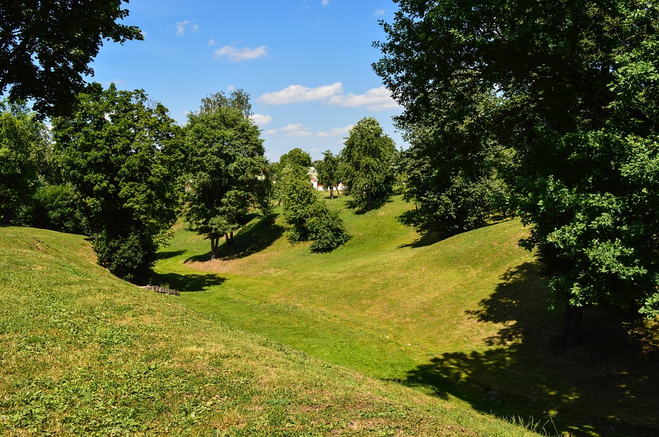 La Nature Ravin L'Été - Photo gratuite sur Pixabay - Pixabay