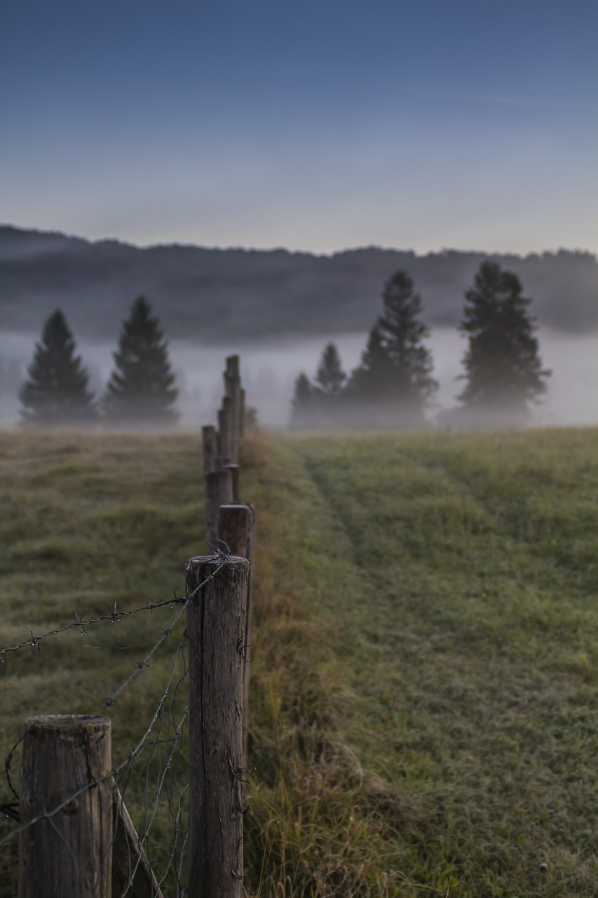 Pasture Fence Morning Mist Fog - Free photo on Pixabay - Pixabay
