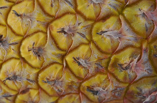 80+ Free Rough Skin & Skin Images - Pixabay