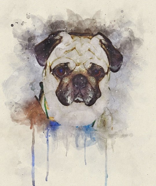 Explore 21,987+ Free Funny Dog Face Illustrations: Download Now - Pixabay
