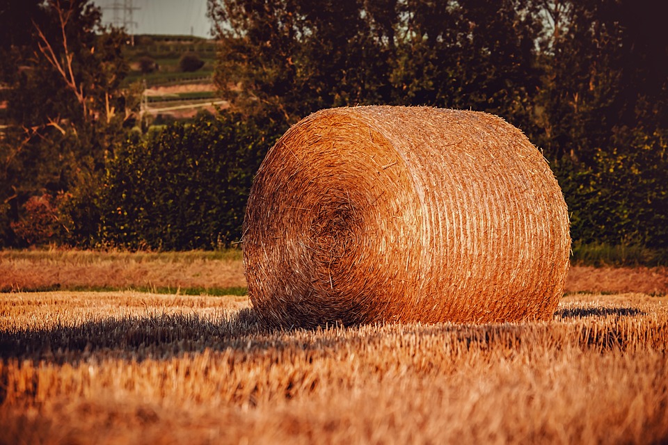 Hay Bales Straw - Free photo on Pixabay - Pixabay
