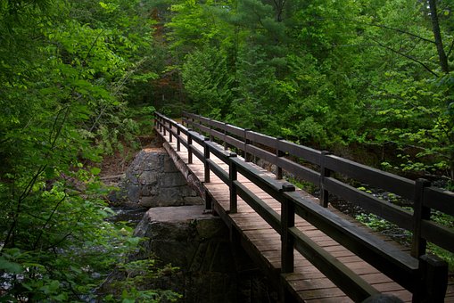 40+ Free Foot Bridge & Bridge Images - Pixabay