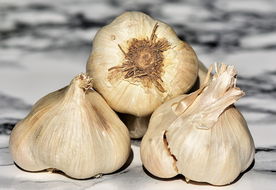 Czosnek Główka Czosnku Ząbek - Darmowe zdjęcie na Pixabay - Pixabay