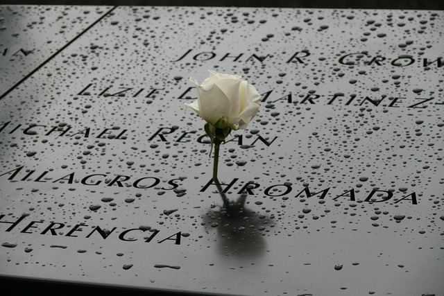 New York Grief Rose - Free photo on Pixabay - Pixabay