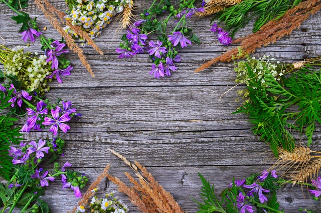 Wildblumen Wilde Blumen Wiese - Kostenloses Foto auf Pixabay - Pixabay