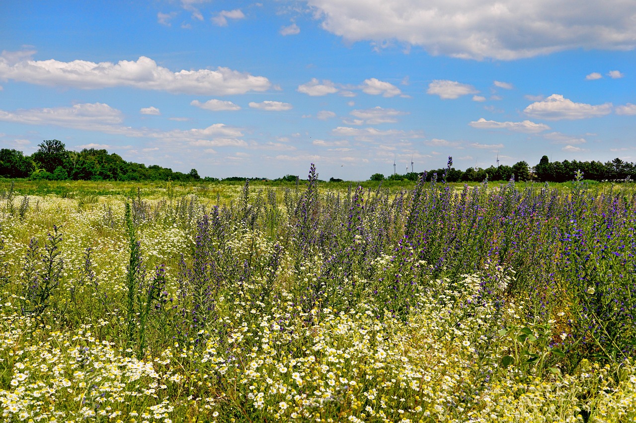 Landscape Heaven Clouds - Free photo on Pixabay
