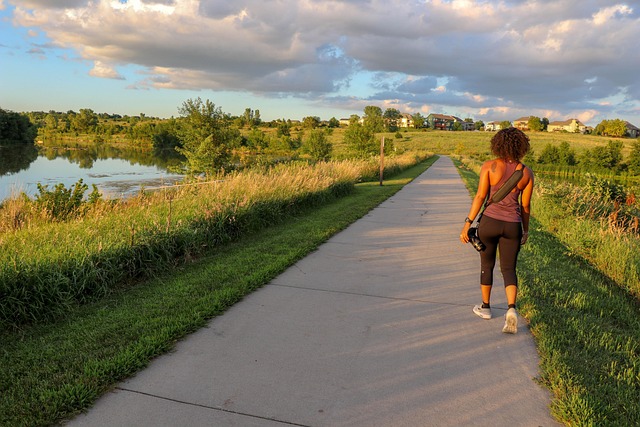 Walking Trail Nature - Free photo on Pixabay