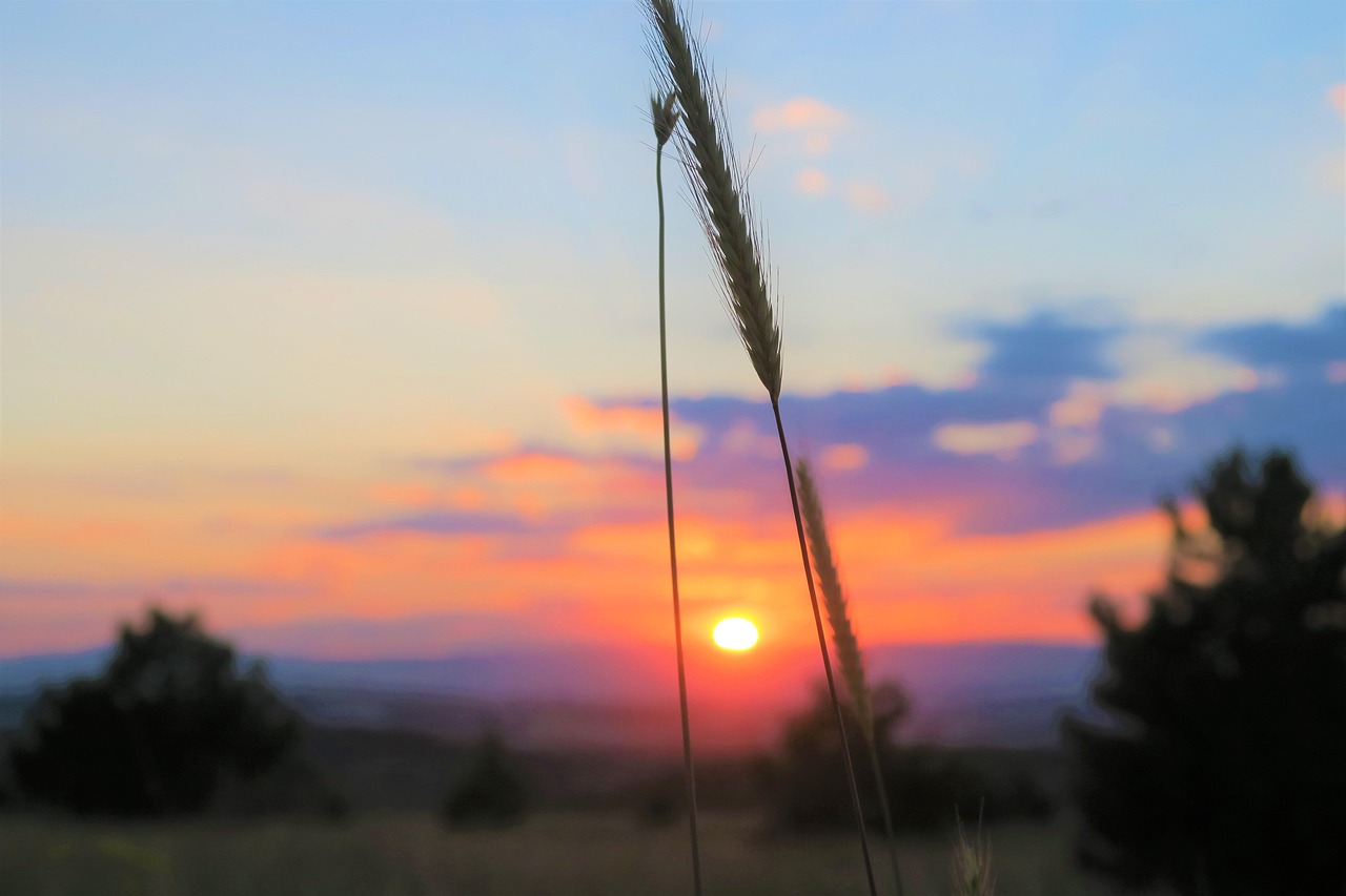 200+ Free Virgo & Nature Images - Pixabay