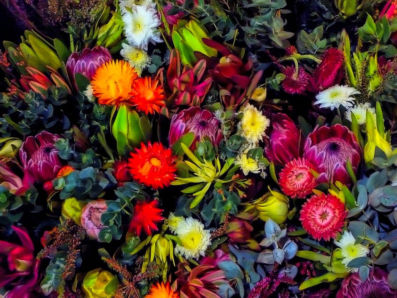 Fleurs Flore Couleurs - Photo gratuite sur Pixabay - Pixabay