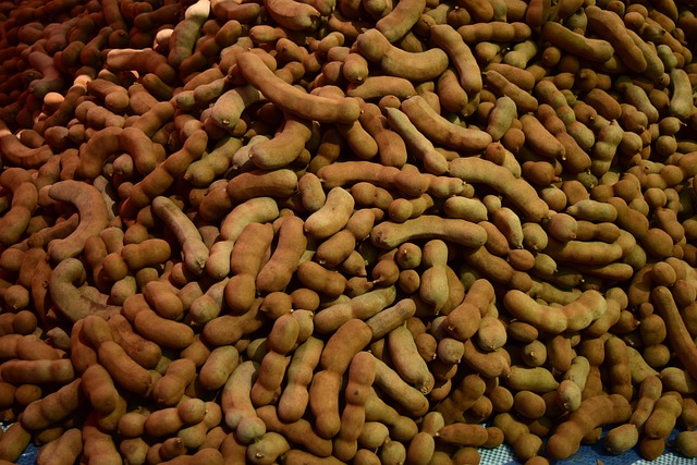 Tamarind Plant Vegetable - Free photo on Pixabay - Pixabay