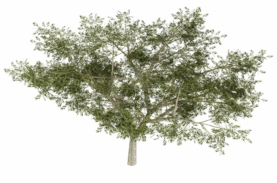 Download Tree, Wood, Render. Royalty-Free Stock Illustration Image ...