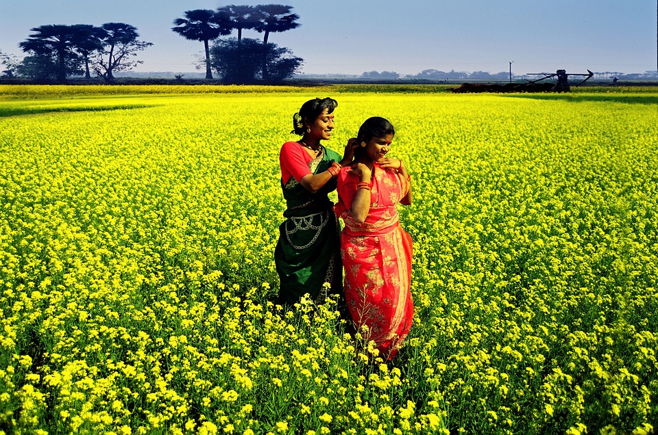 Bangladesh Village - Free photo on Pixabay