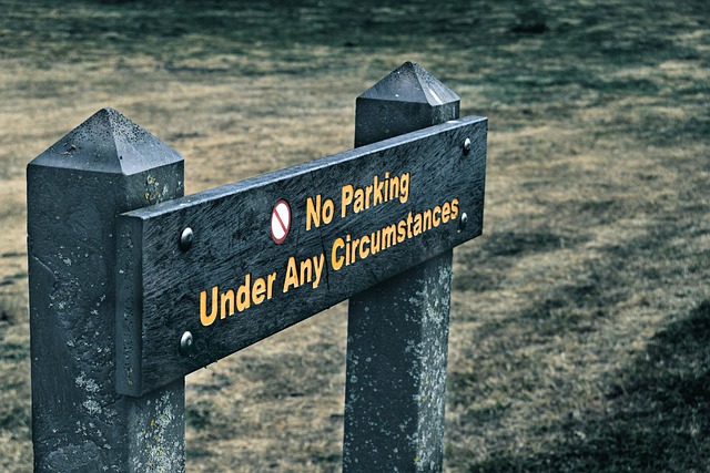 20+ Free No Signal & No Parking Images - Pixabay
