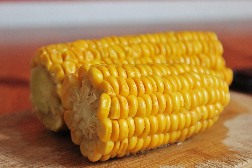 Corn Close Up Food - Free photo on Pixabay - Pixabay