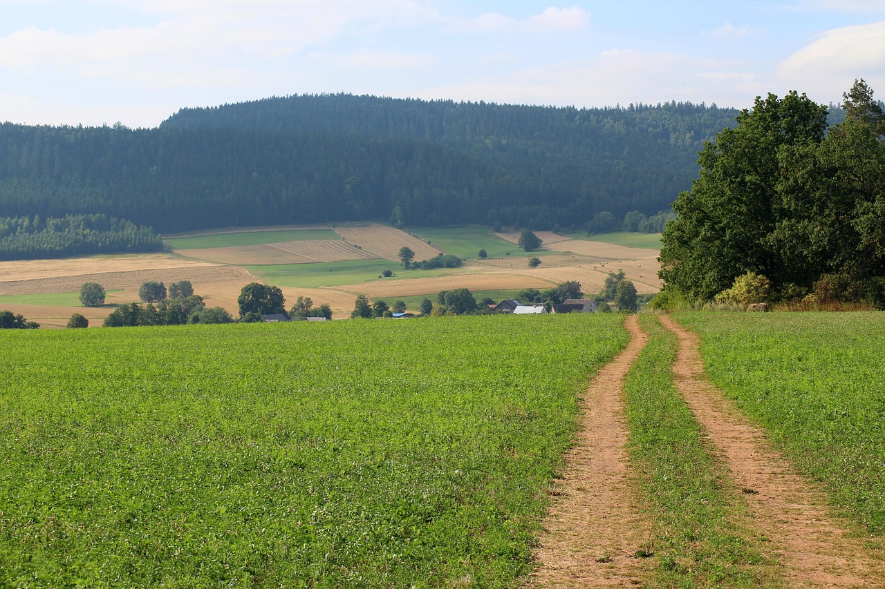 Paysage Nature Vue - Photo gratuite sur Pixabay