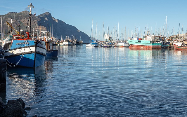 Hout Bay Harbour Chapman'S Peak - Free photo on Pixabay - Pixabay