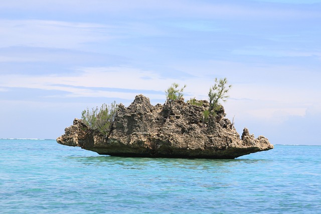 20,000+ Free Small Rocks & Nature Images - Pixabay