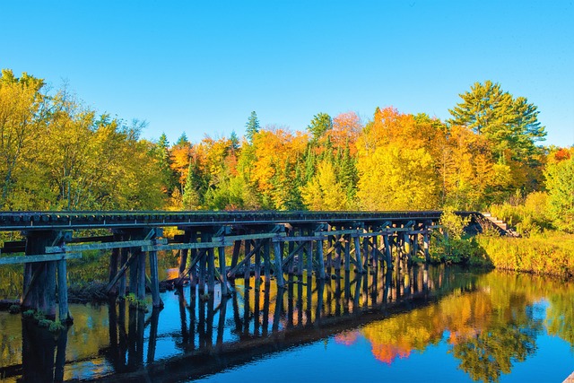 Fall Colors Bridge Autumn - Free photo on Pixabay