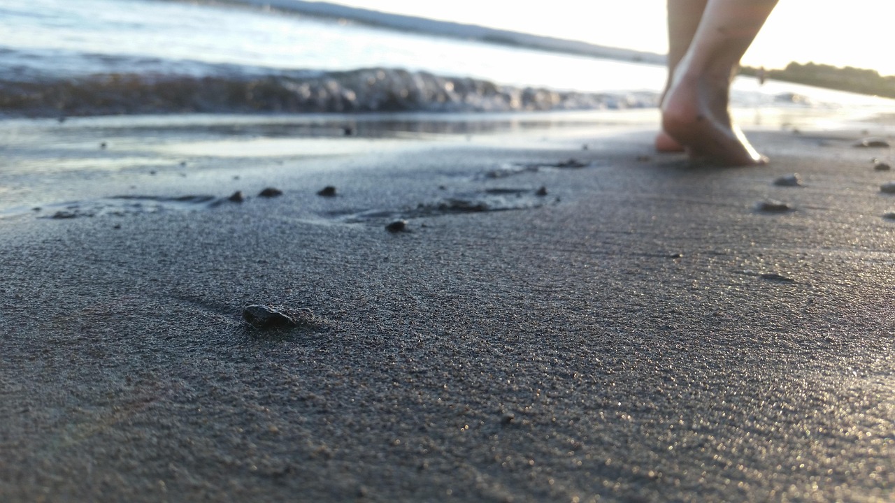 200+ Free Feet Walking & Feet Images - Pixabay