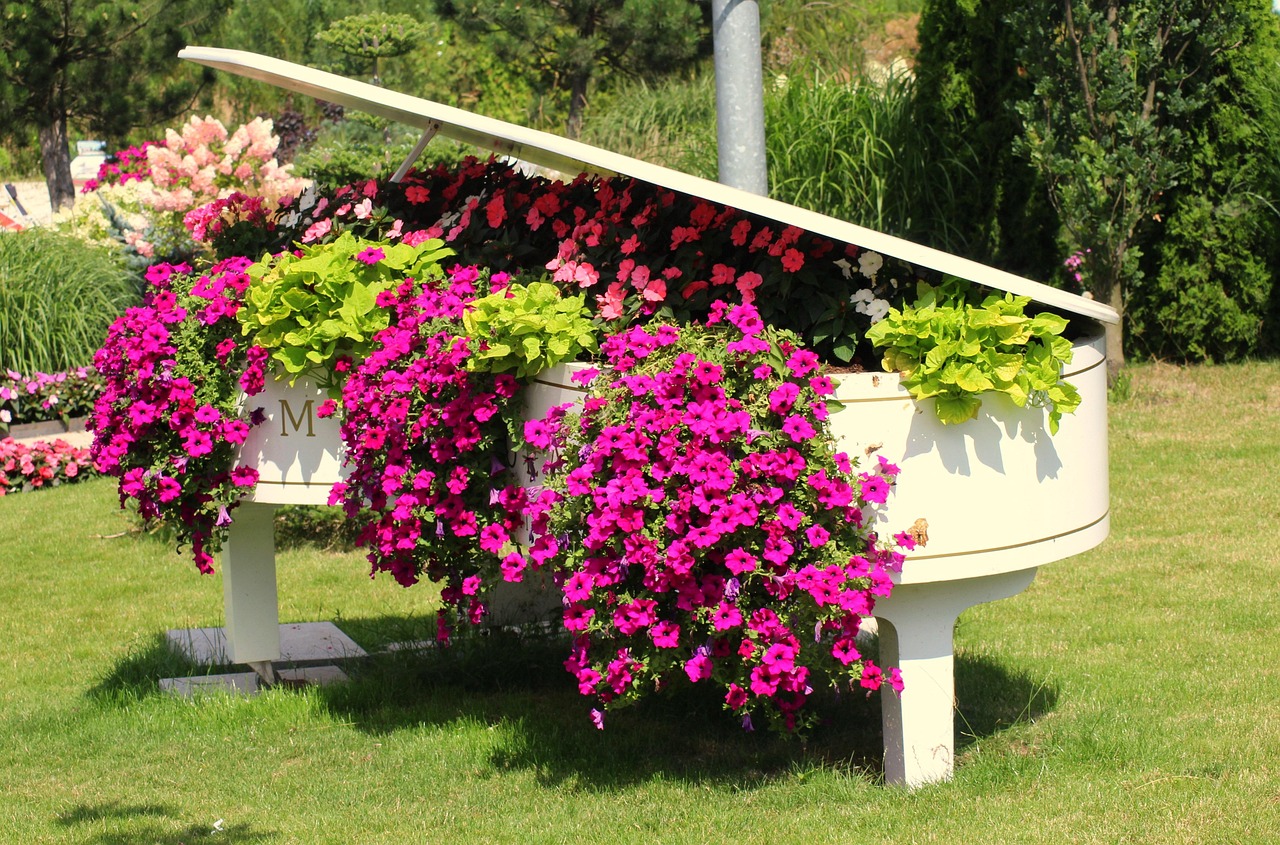 Flowers Petunia Summer Decoration Free Photo On Pixabay Pixabay
