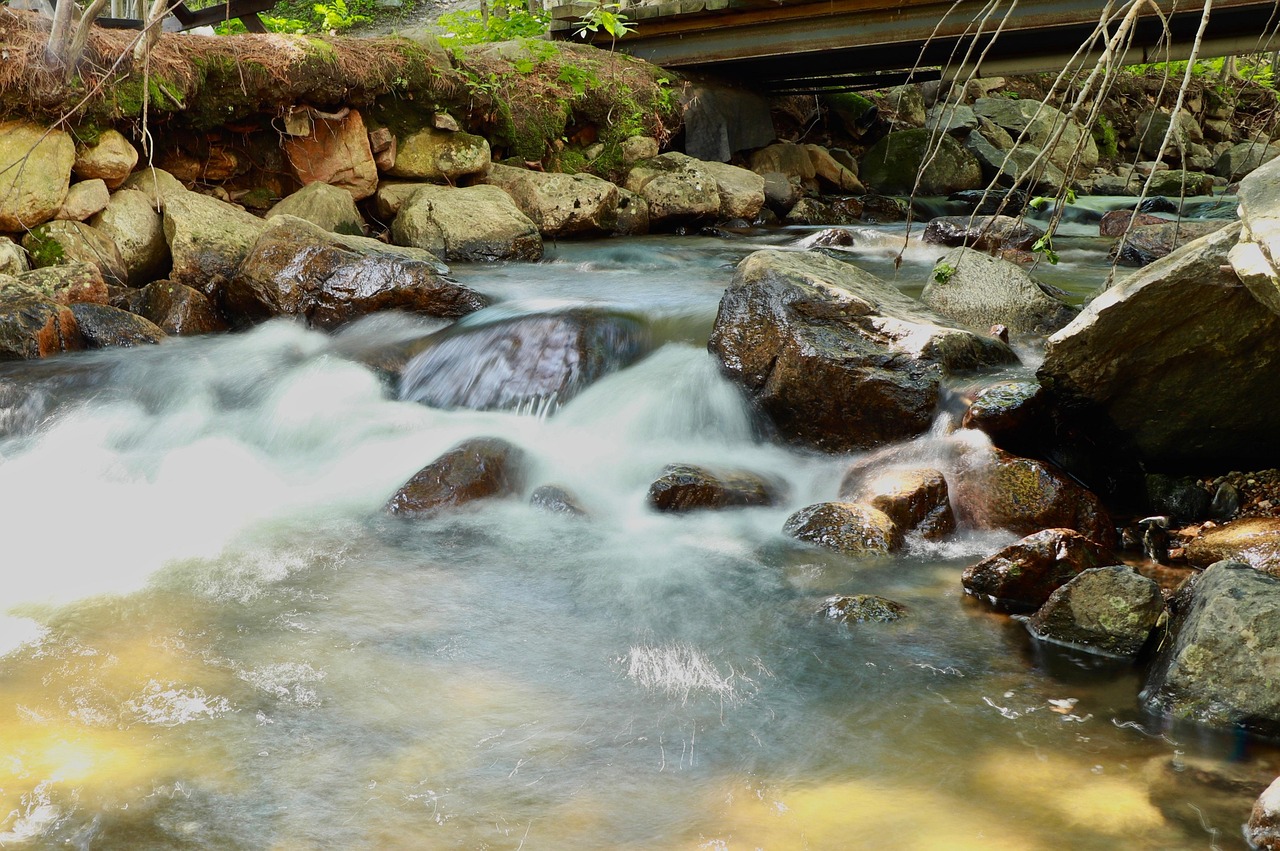 90+ Free Paisajes Verdes Húmedos & Green Images - Pixabay
