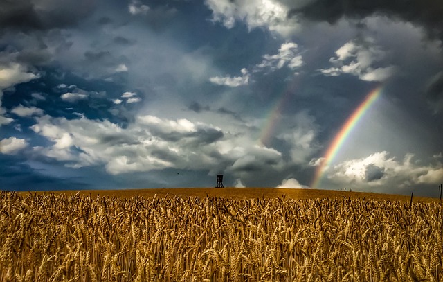 Nature Landscape Rainbow - Free photo on Pixabay