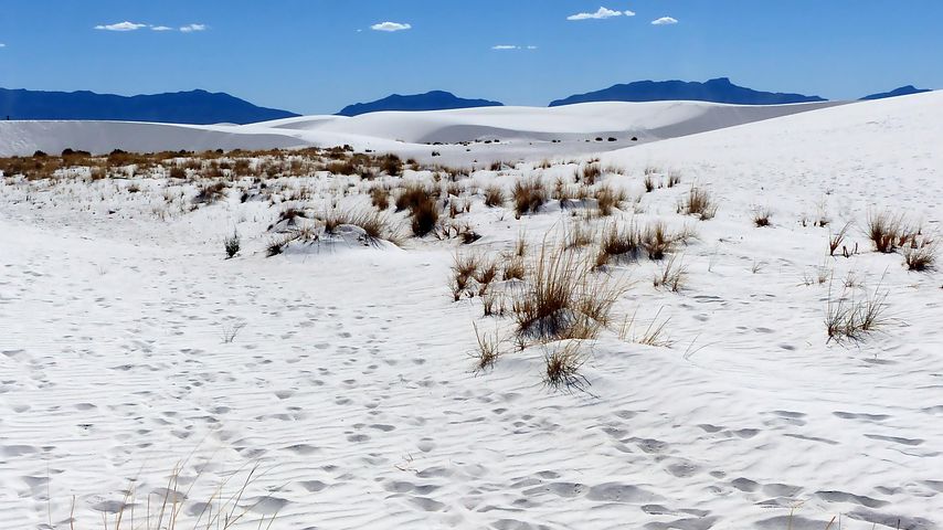100+ Free Gypsum & Nature Photos - Pixabay