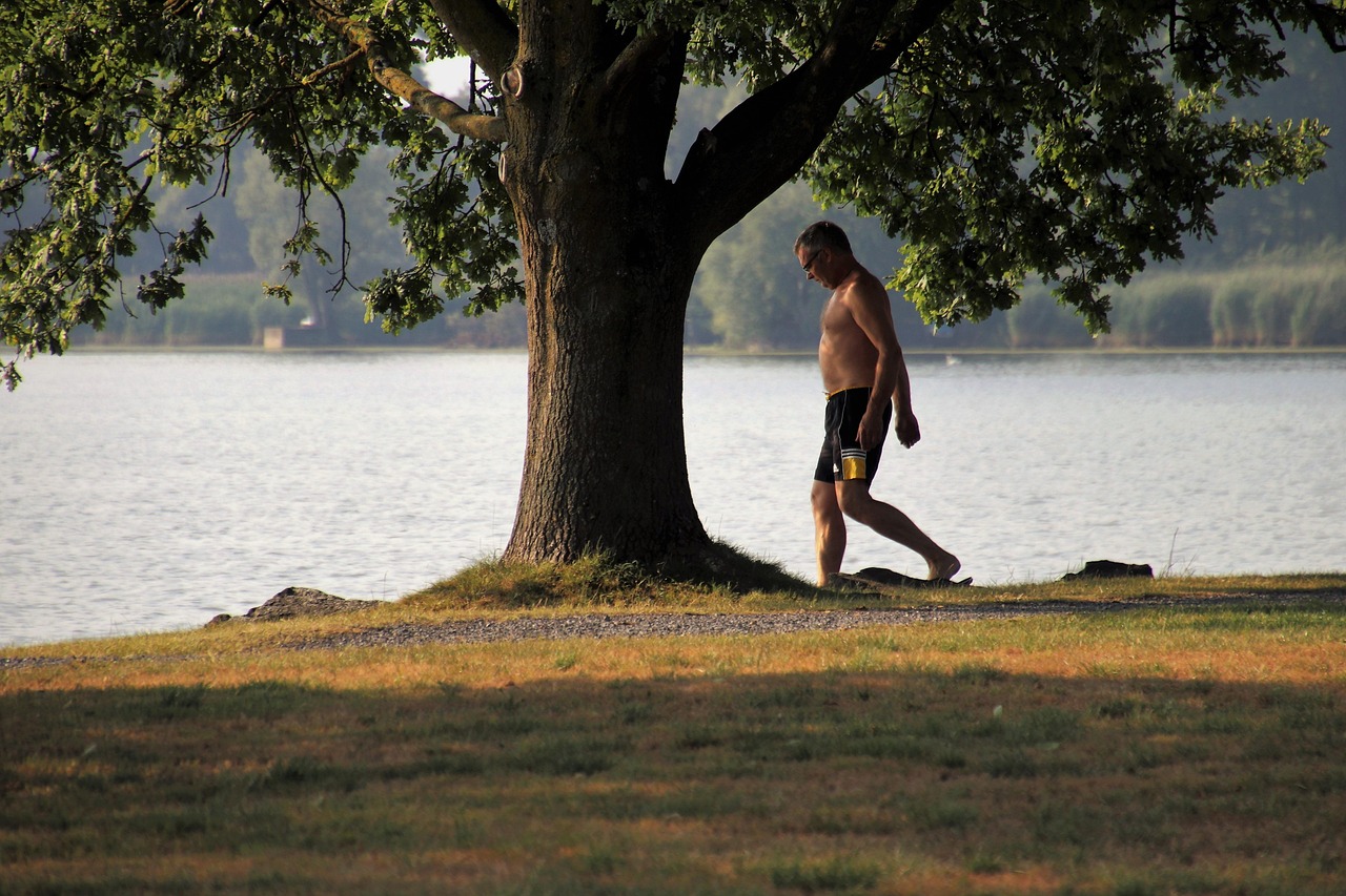 Summer Lake View - Free photo on Pixabay - Pixabay